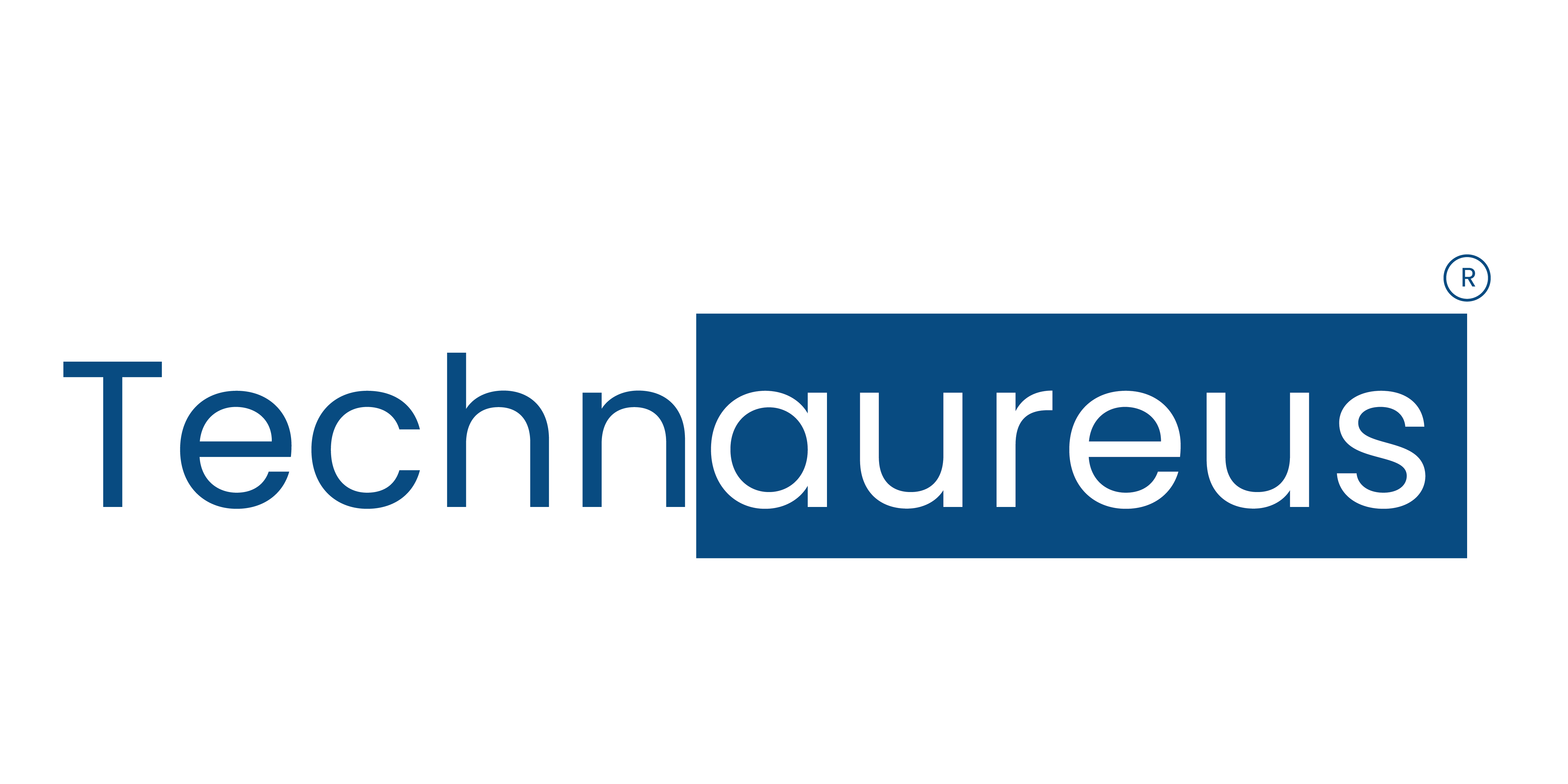 Technaureus Support